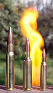 Standard Deviation Display Bullets